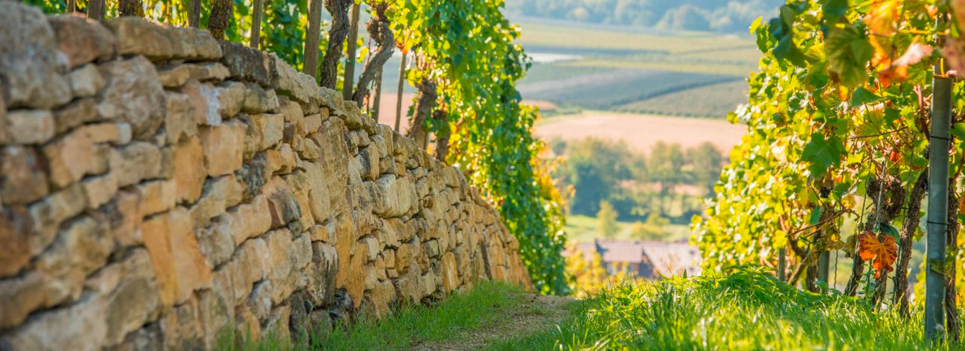 Ausflugsziele - Gemeinde Ehrenkirchen